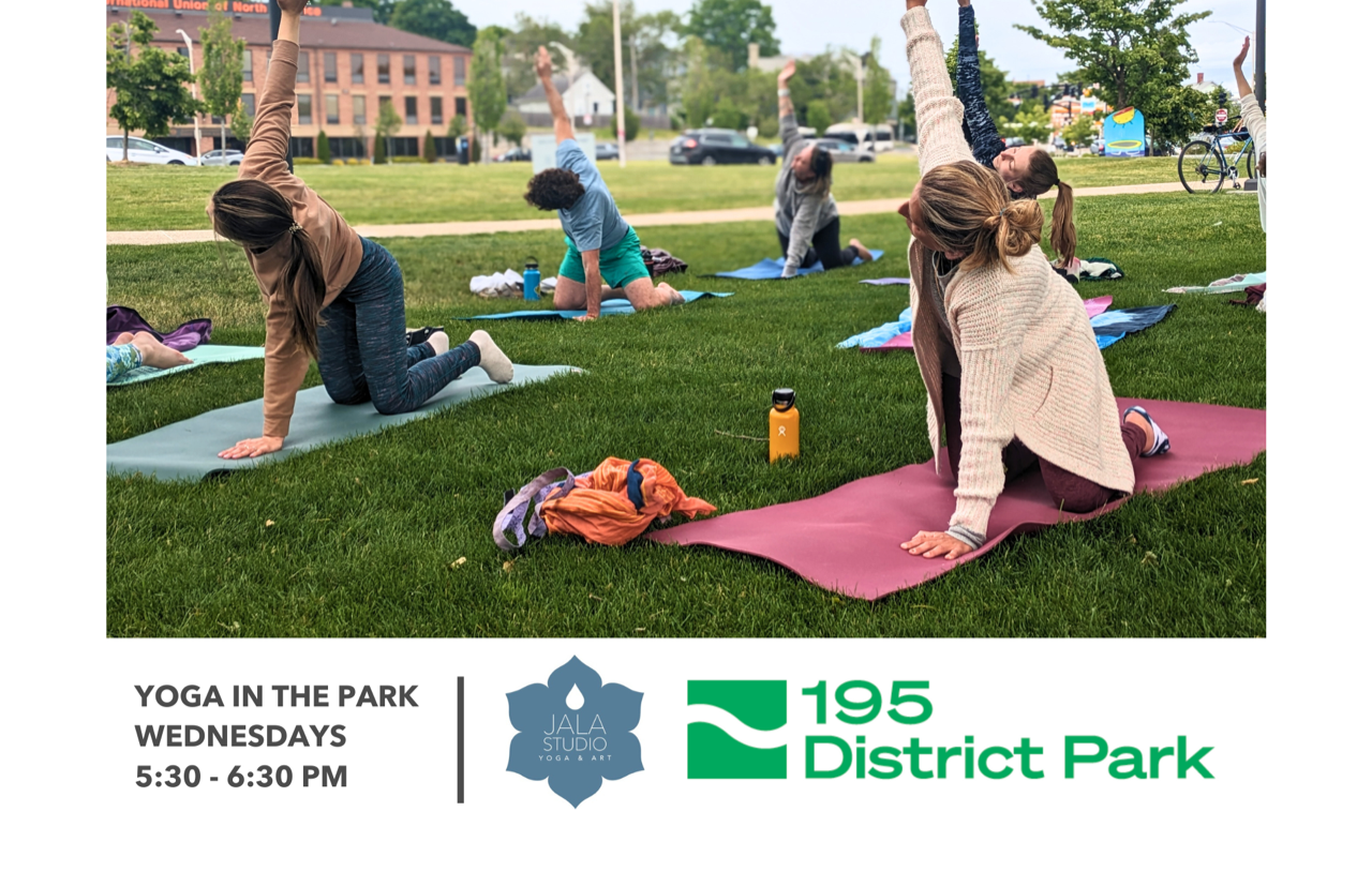 Vinyasa Yoga with Jala Studio