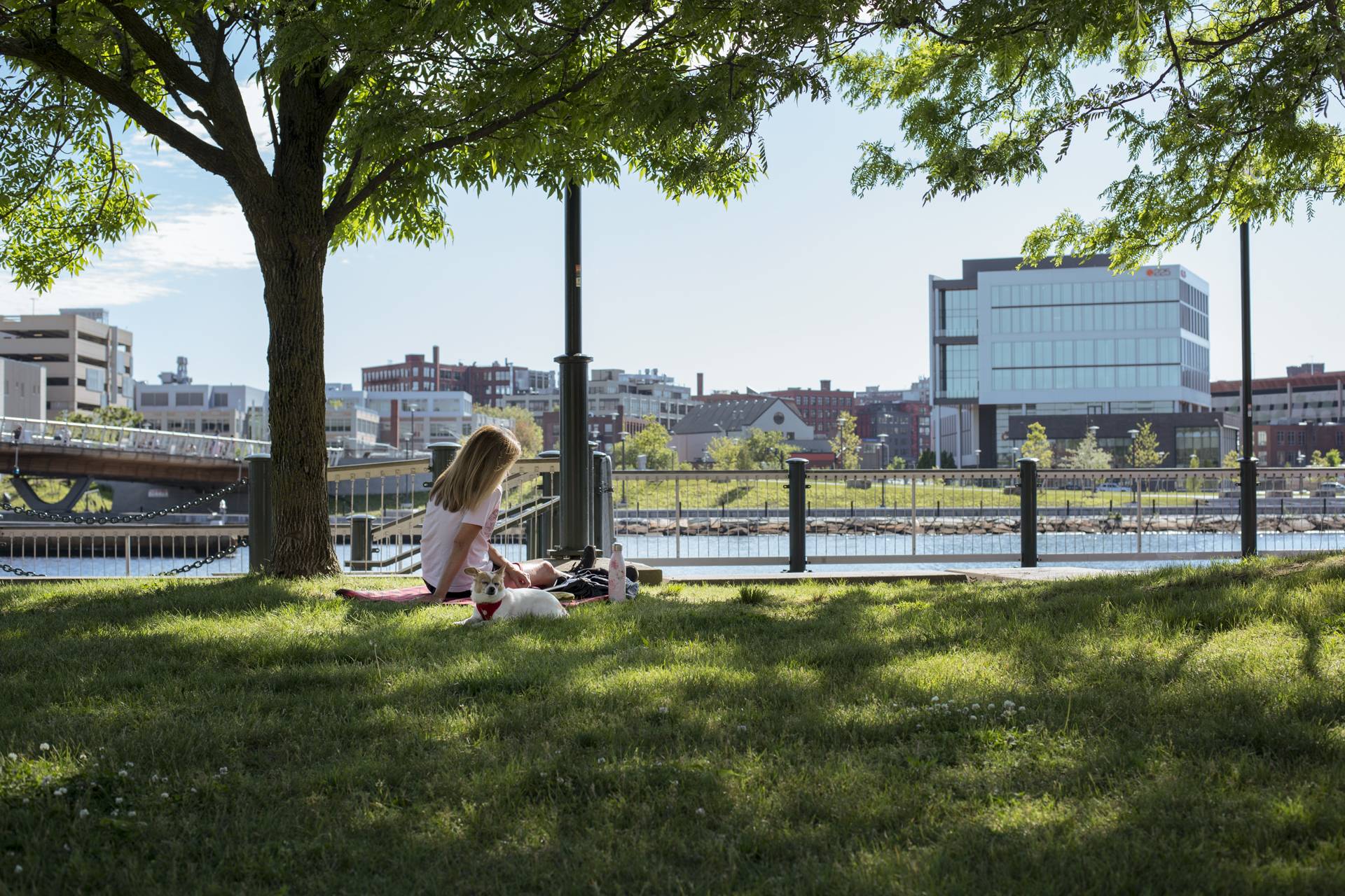 Park FAQ | ADA Accessibility | Dog Friendly Park