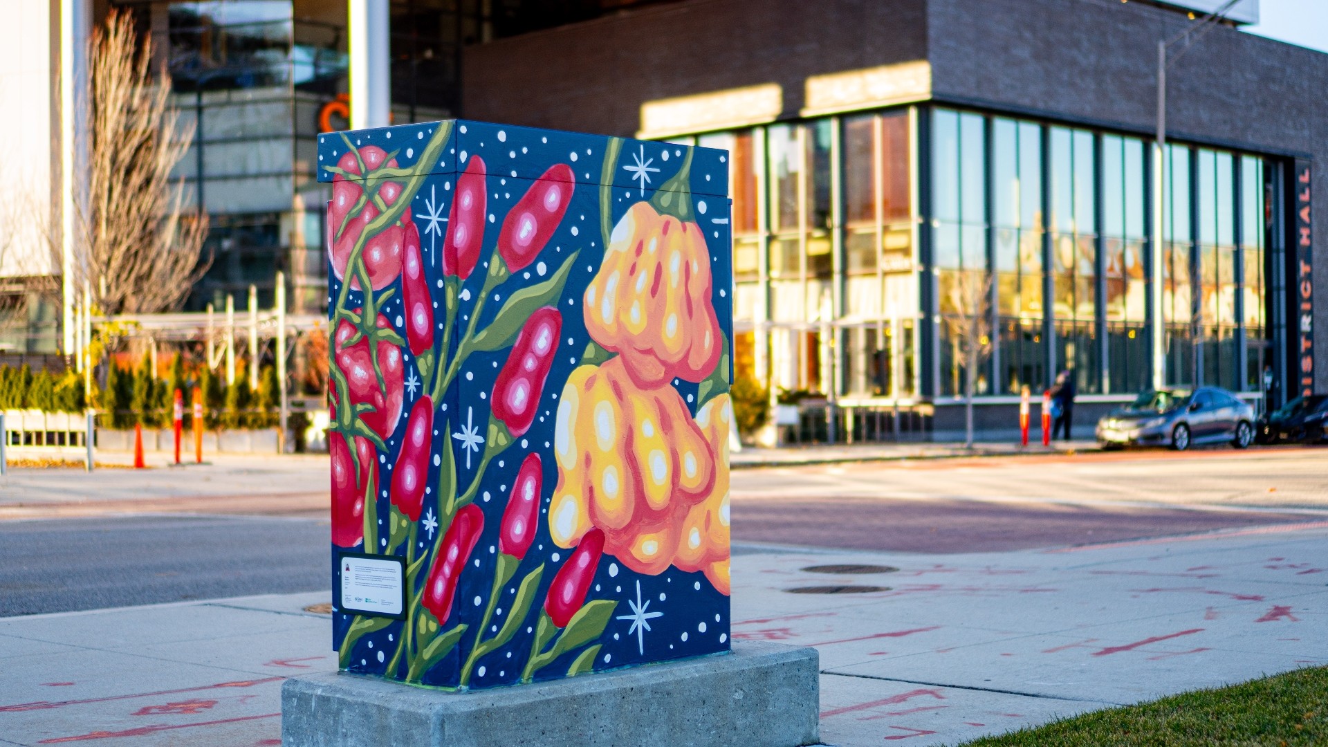 Public Art | Murals, Installations, and Interactive Art